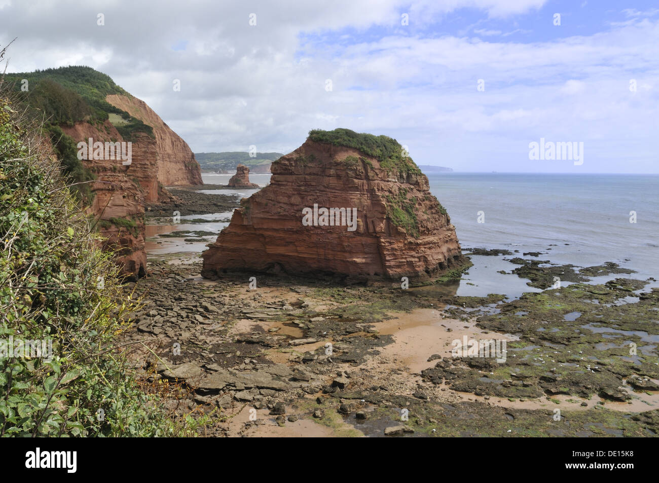 stack at Ladram Bay Stock Photo - Alamy