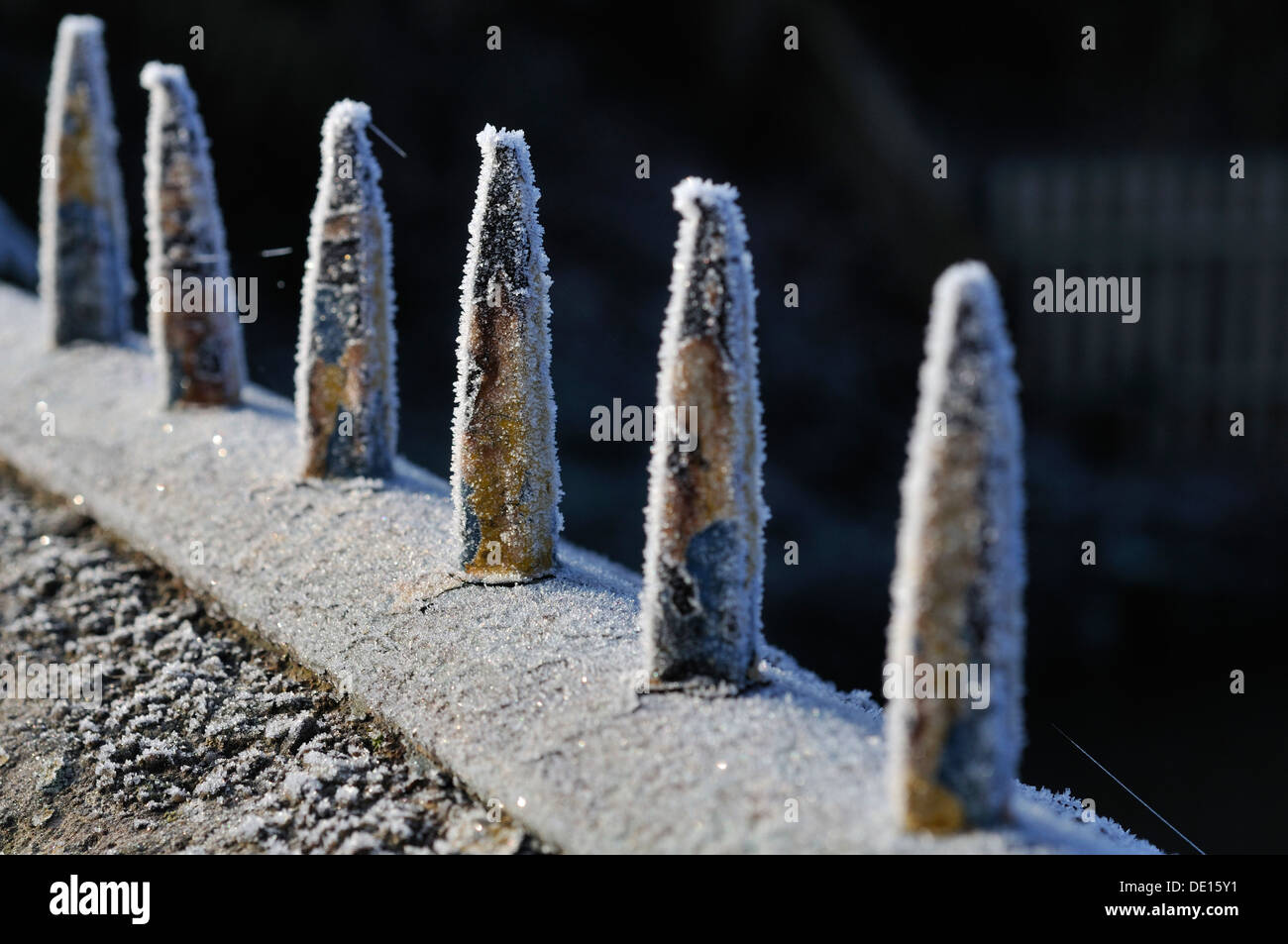 Row of spikes hi-res stock photography and images - Alamy