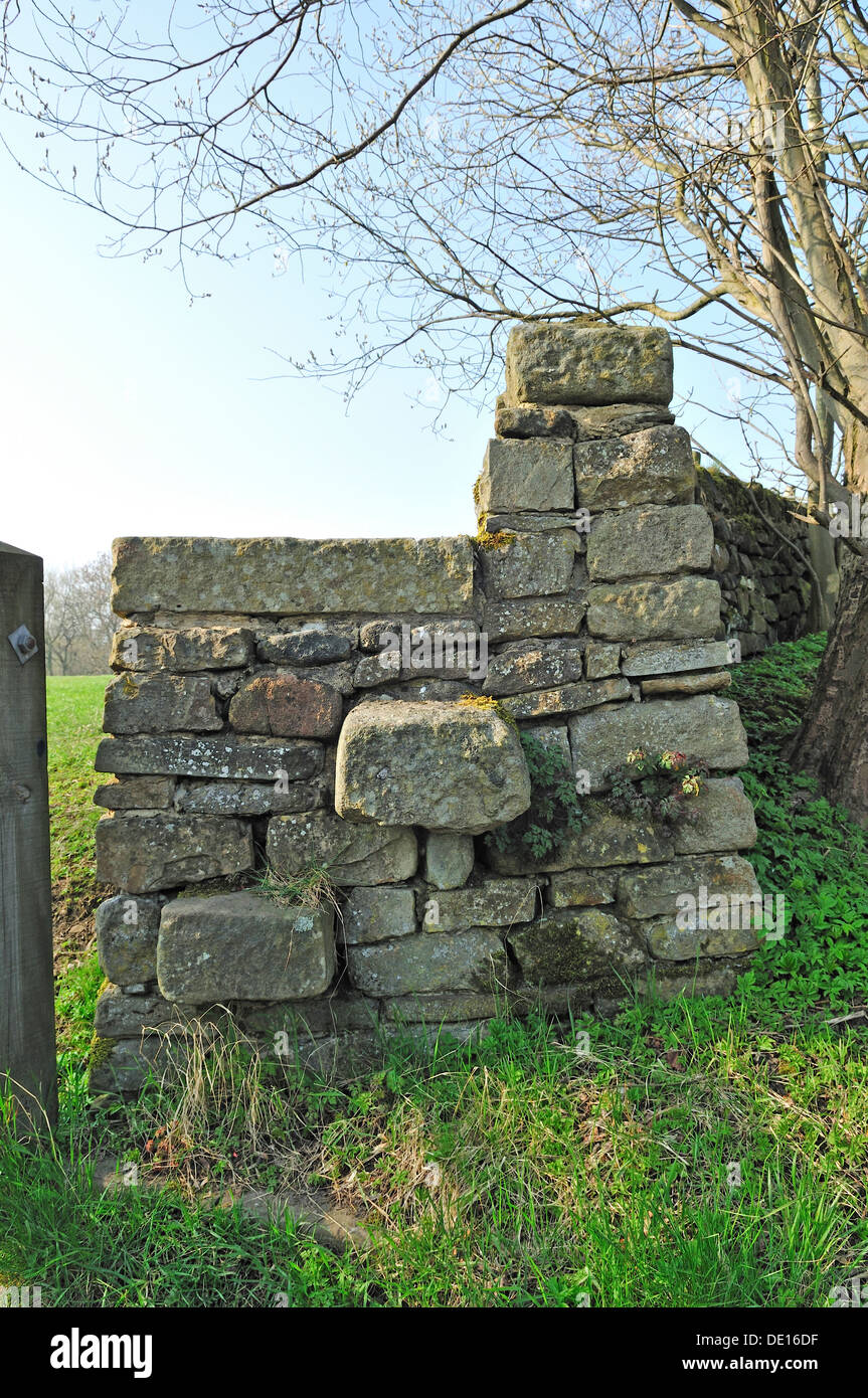 Drystone wall stile Stock Photo - Alamy