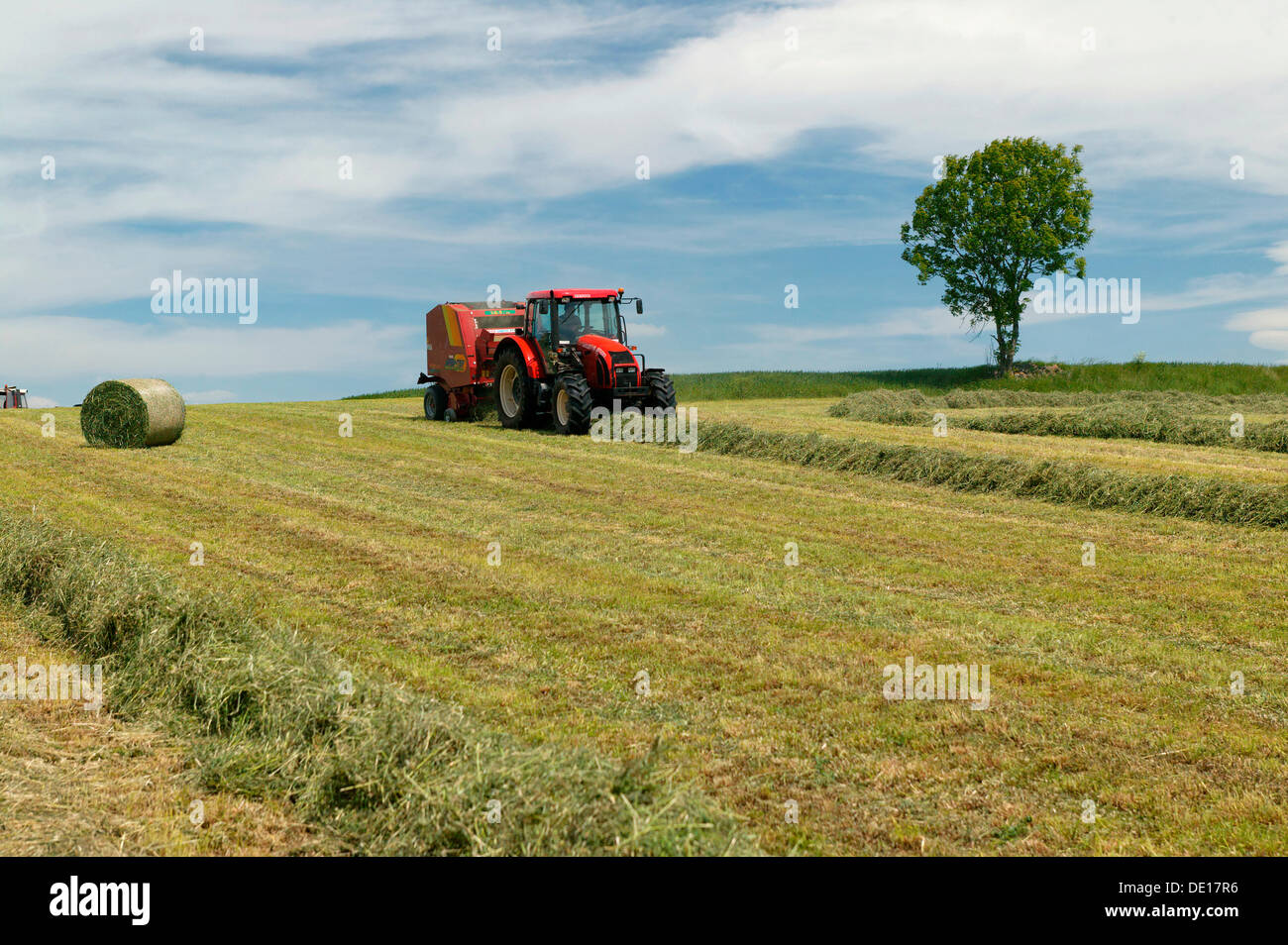 Haymaking, near Barges, Haute Loire, Auvergne, France, Europe Stock ...