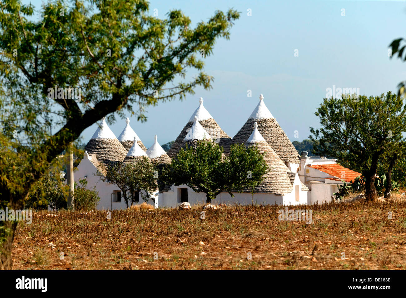 Trulli, traditional Apulian dry stone huts, Puglia, Apulia, Italy ...