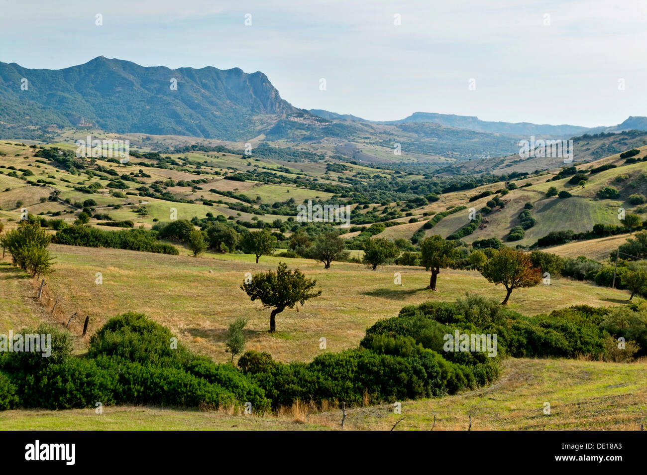 Landscape of Calabria, Aspromonte National Park, Italy, Europe Stock ...