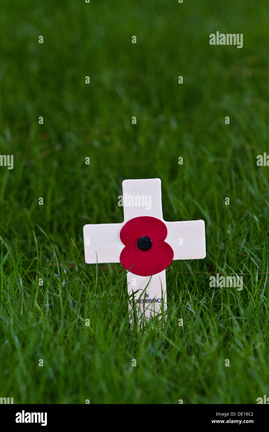 Remembrance Day poppy Stock Photo - Alamy