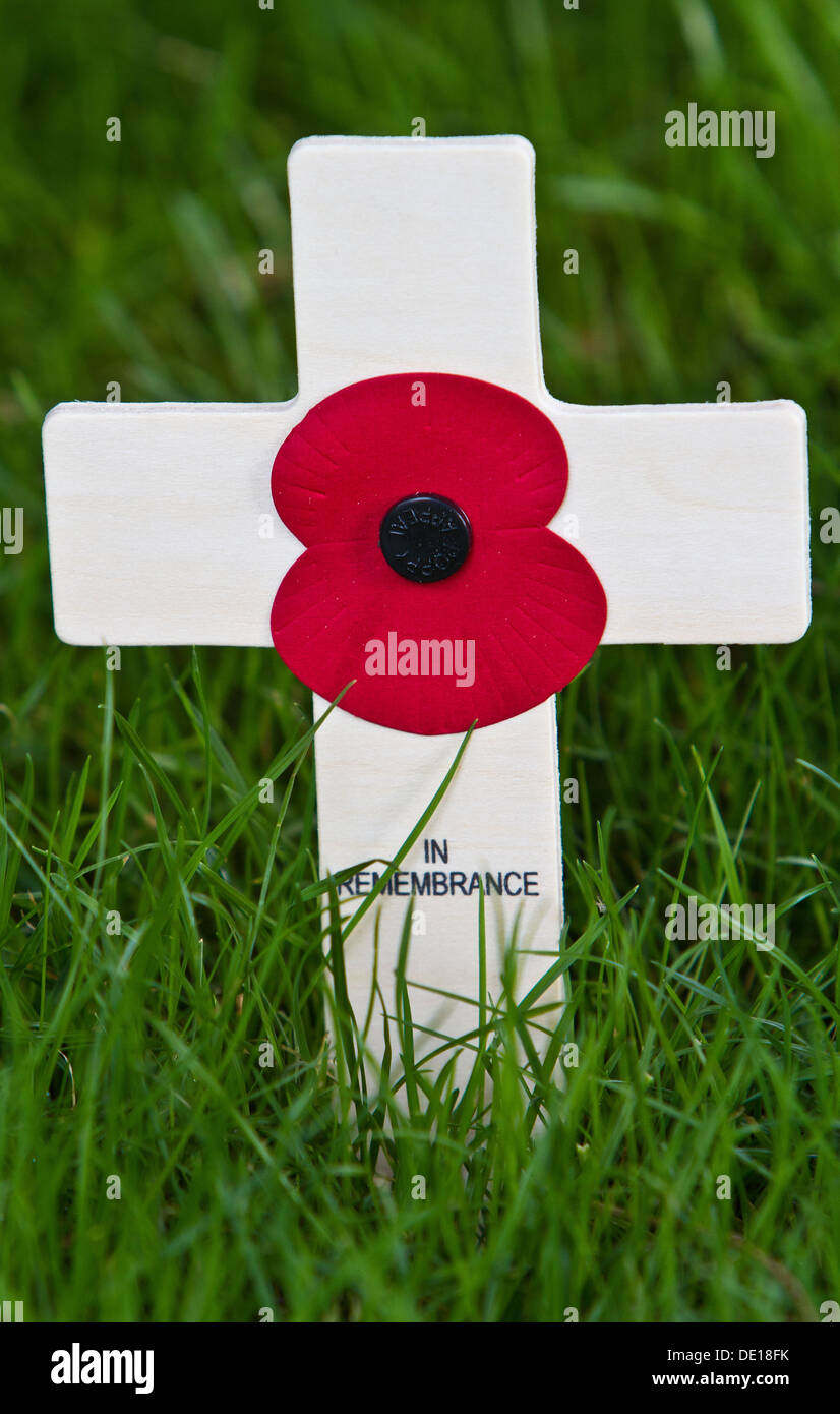 Remembrance Day poppy Stock Photo - Alamy