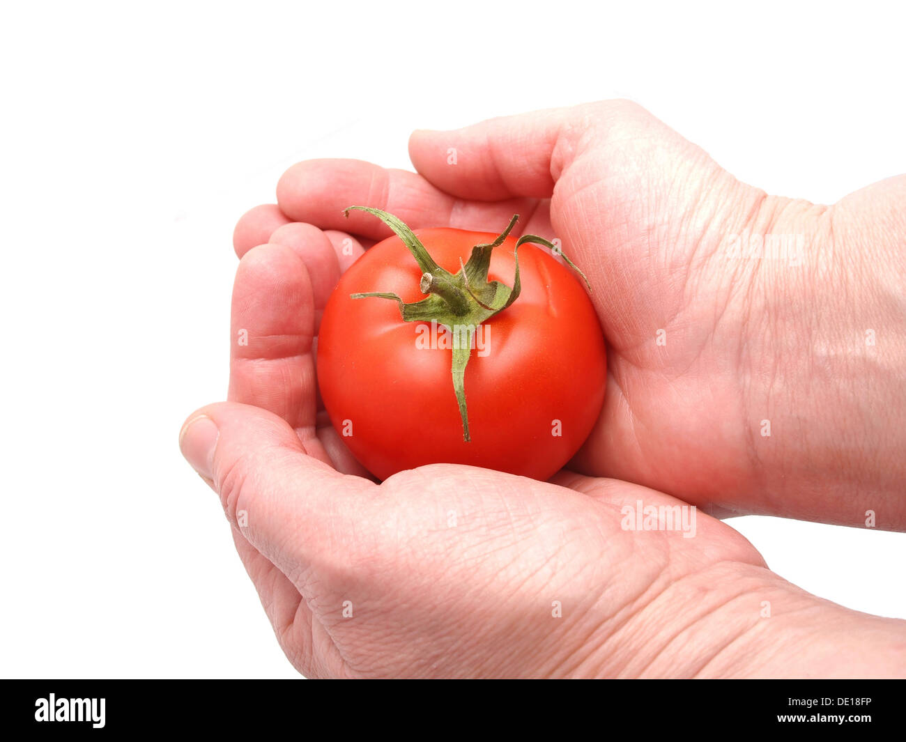 tomato and hand on white background Stock Photo - Alamy