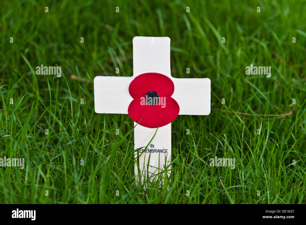 Remembrance Day poppy Stock Photo - Alamy