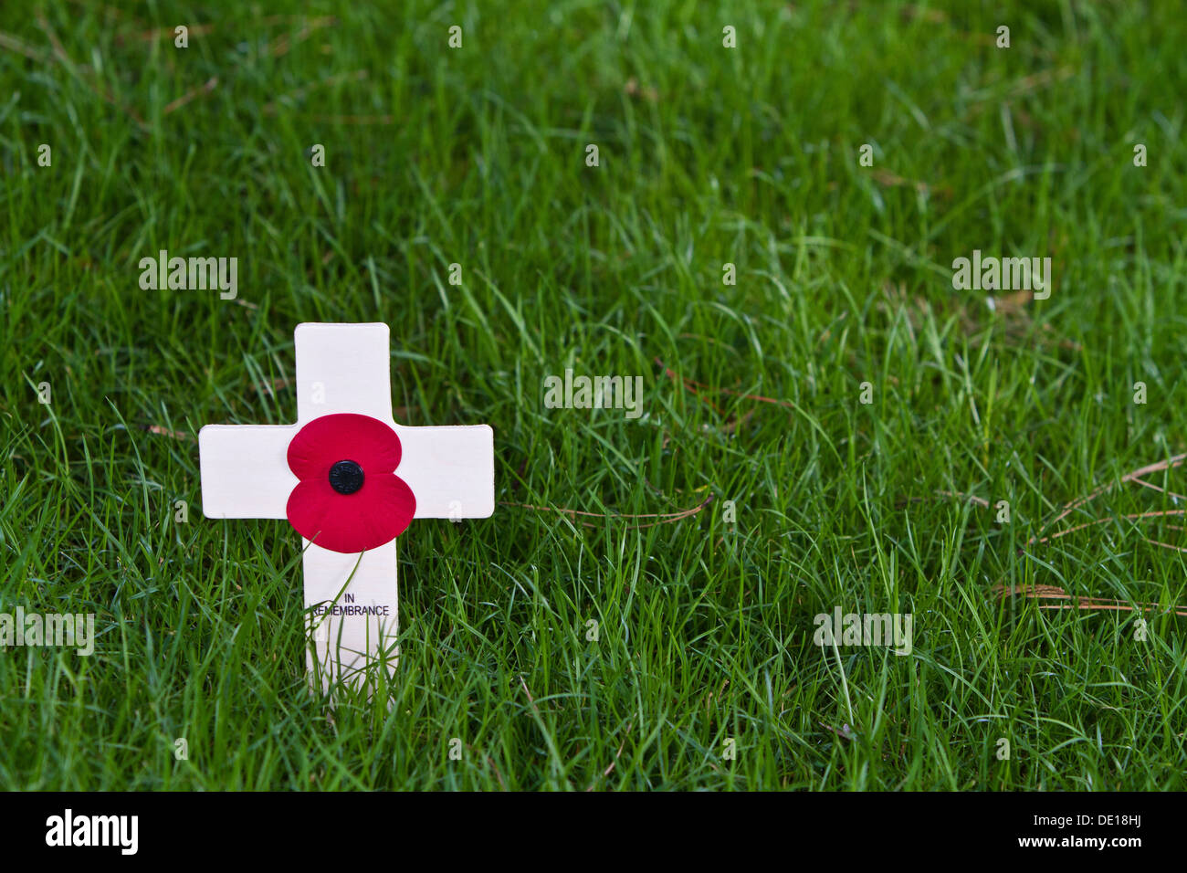 Remembrance Day poppy Stock Photo - Alamy