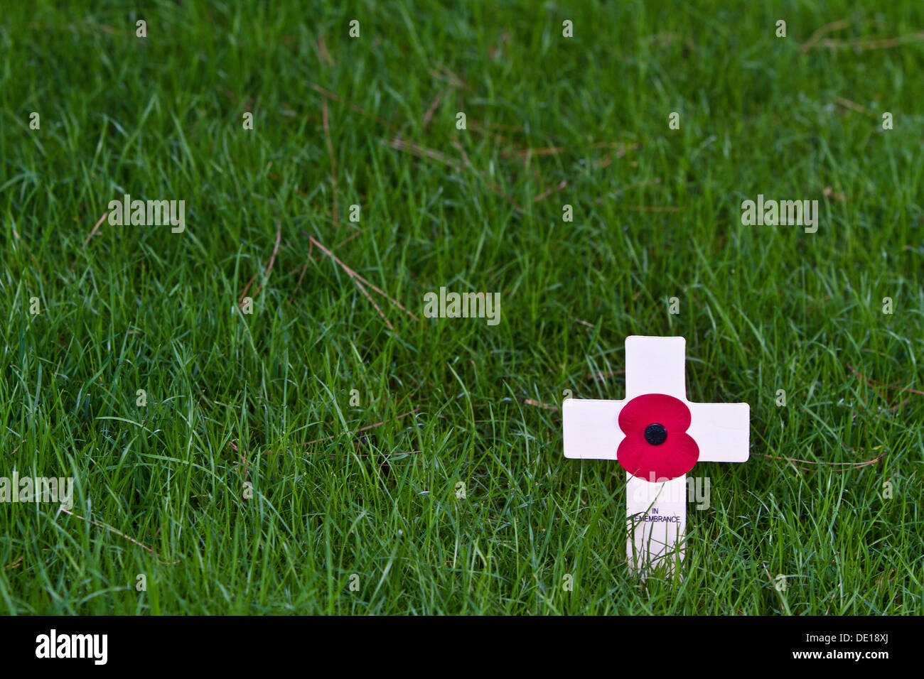 Remembrance symbol hi-res stock photography and images - Alamy