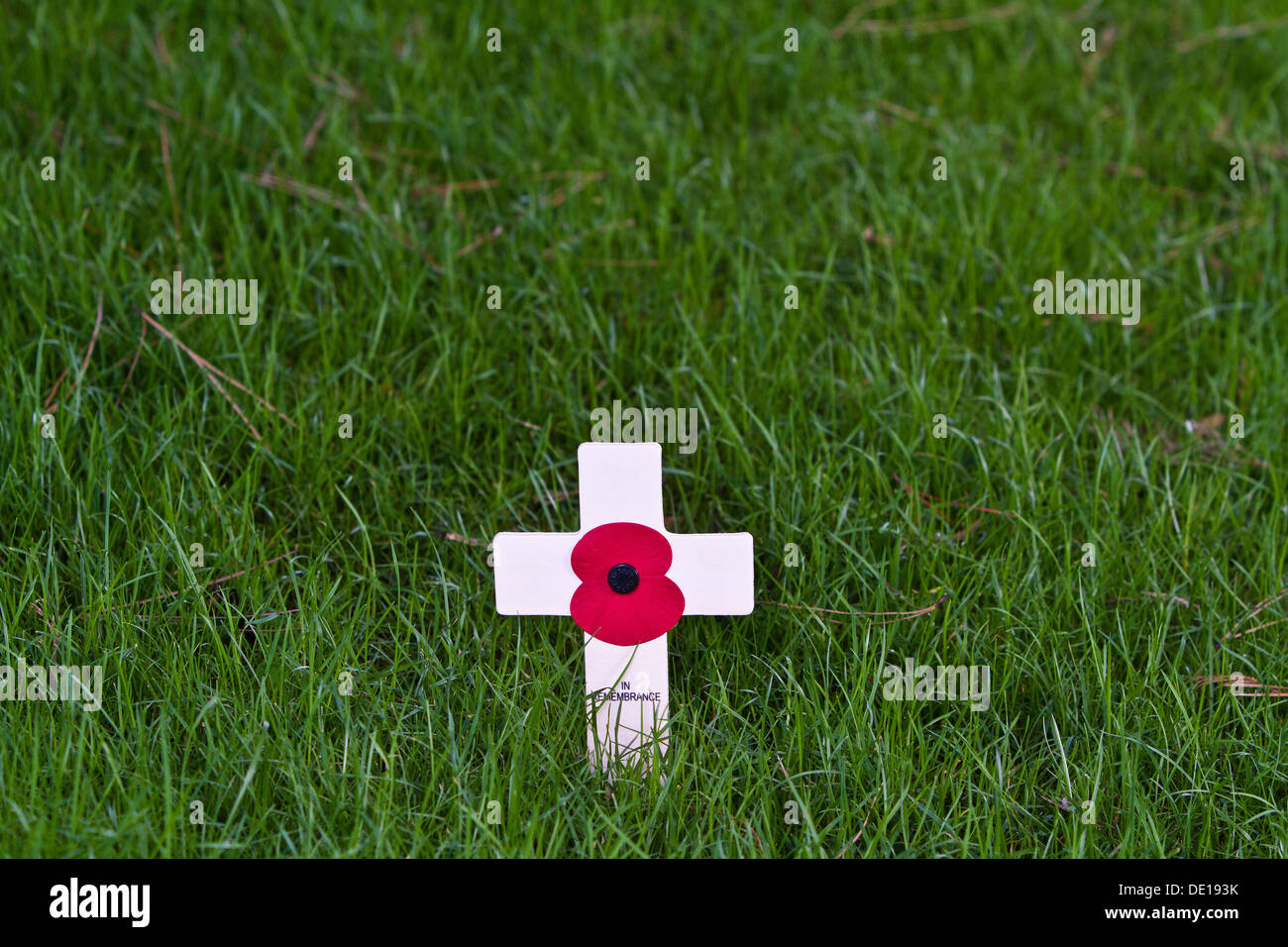 Remembrance Day poppy Stock Photo - Alamy
