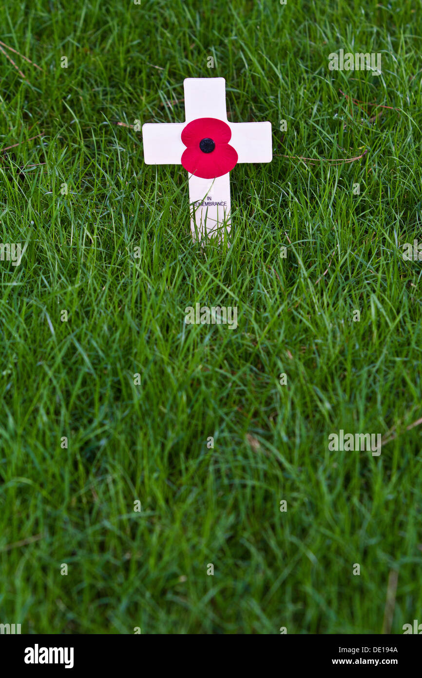 Remembrance Day poppy Stock Photo - Alamy