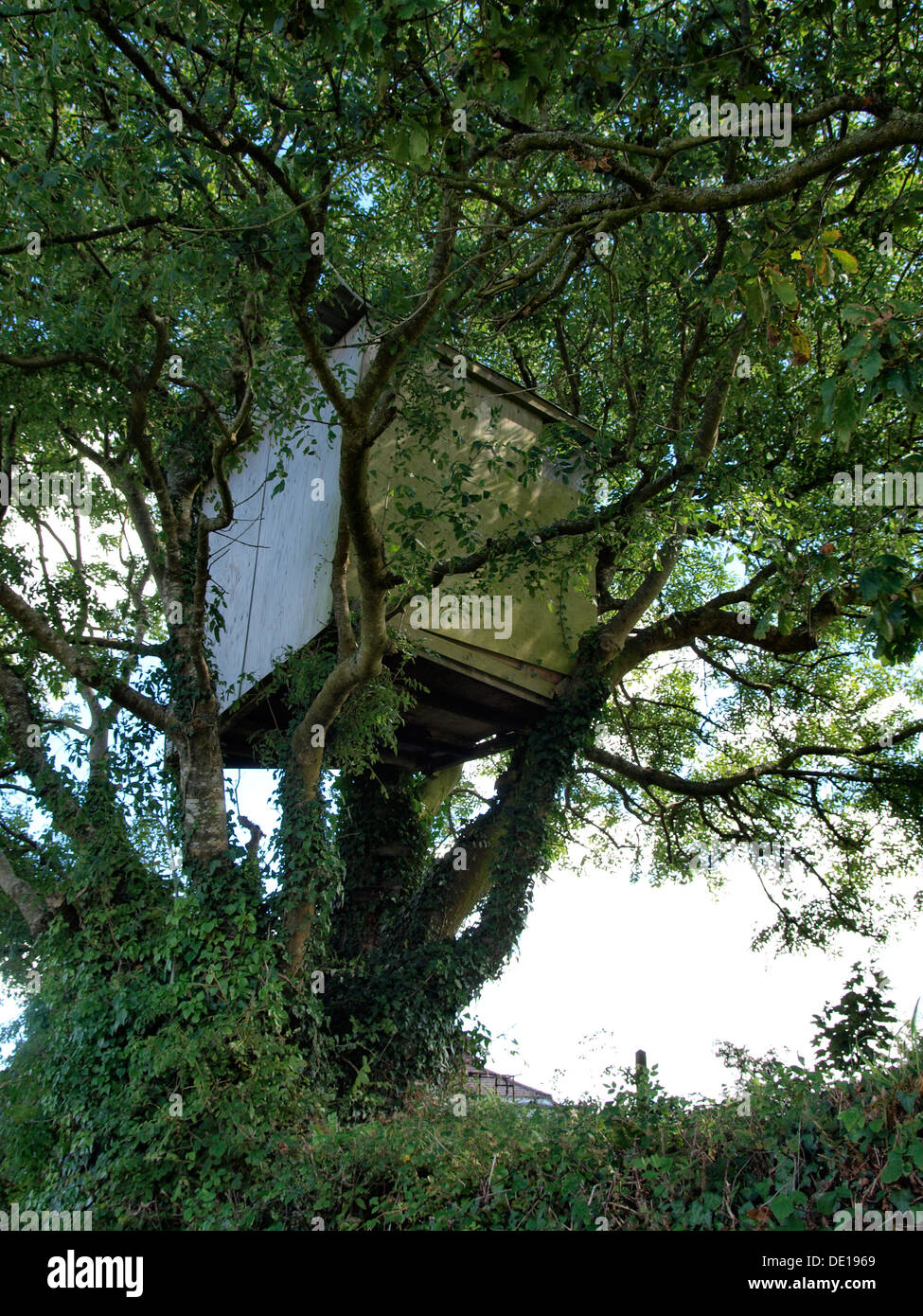 Tree house, Cornwall, UK 2013 Stock Photo - Alamy