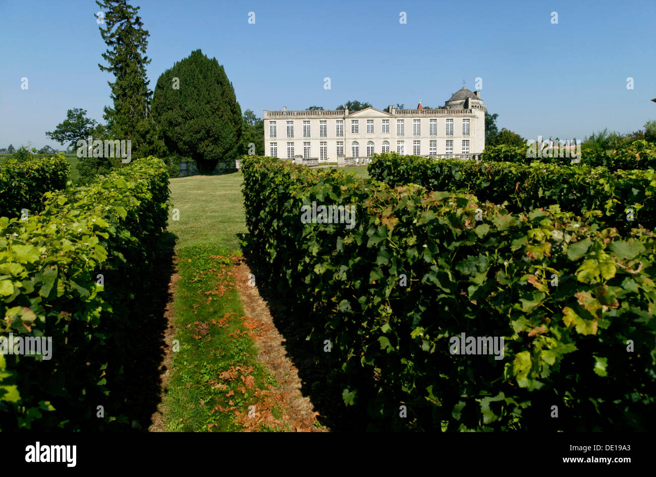 Aoc hi-res stock photography and images - Alamy