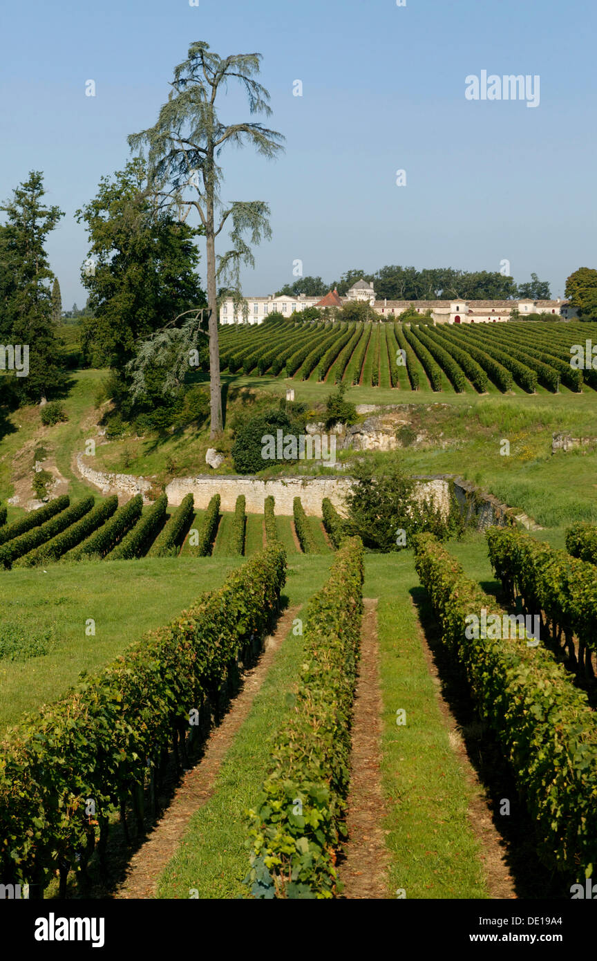 Aoc hi-res stock photography and images - Alamy