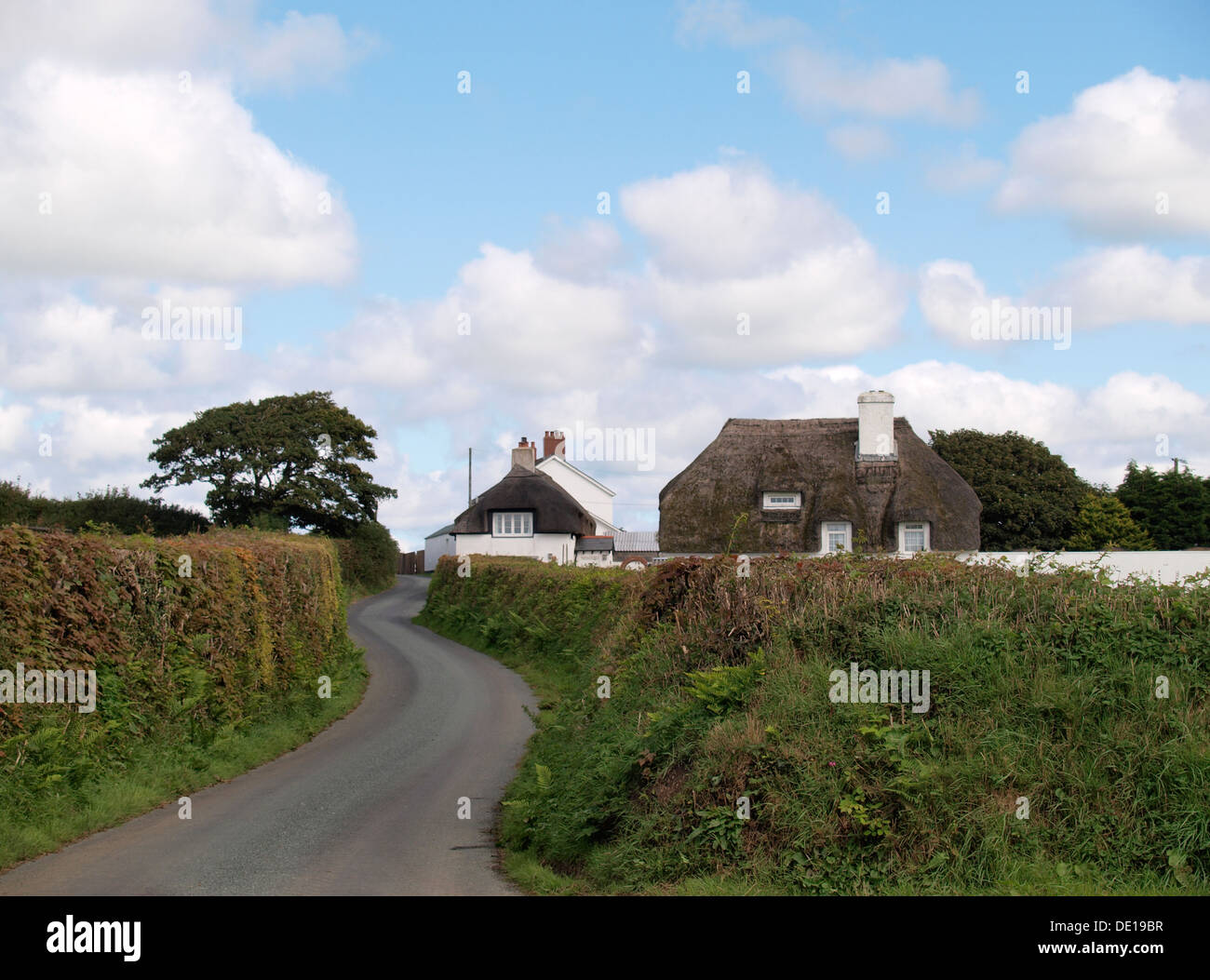 Small country road past thatched houses, Cornwall, UK 2013 Stock Photo ...