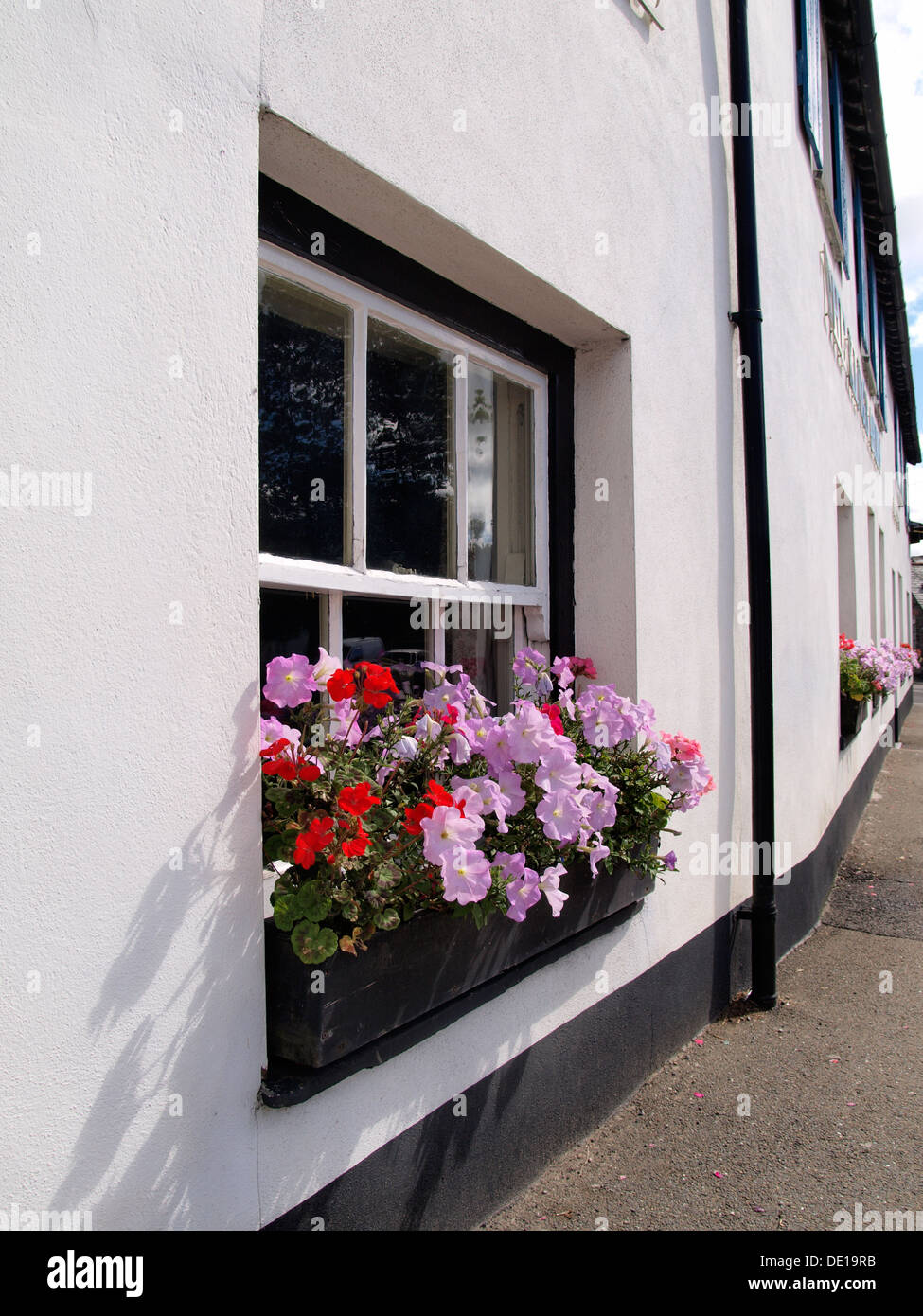 Window Box, UK 2013 Stock Photo - Alamy