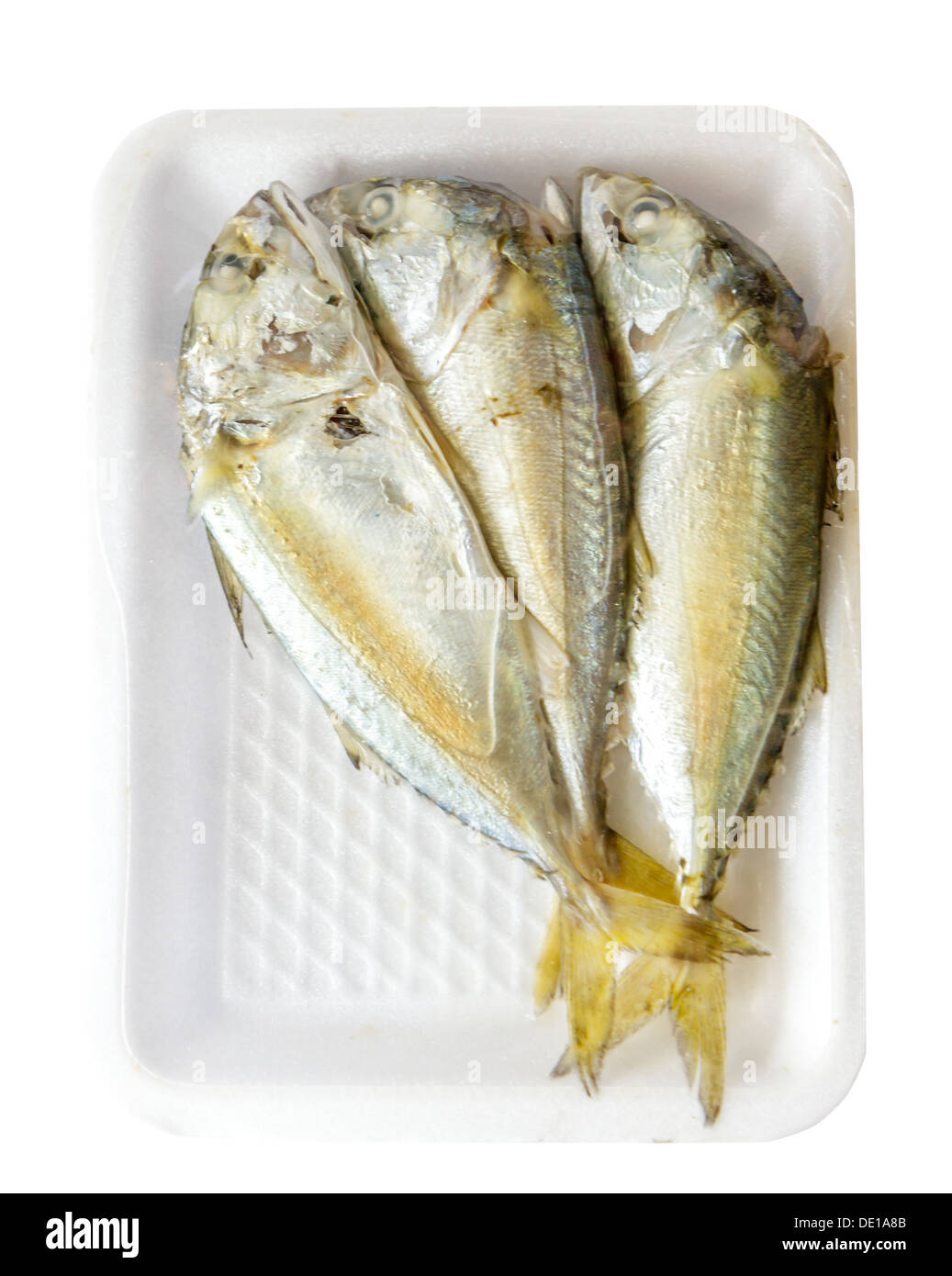 Mackerel hi-res stock photography and images - Alamy