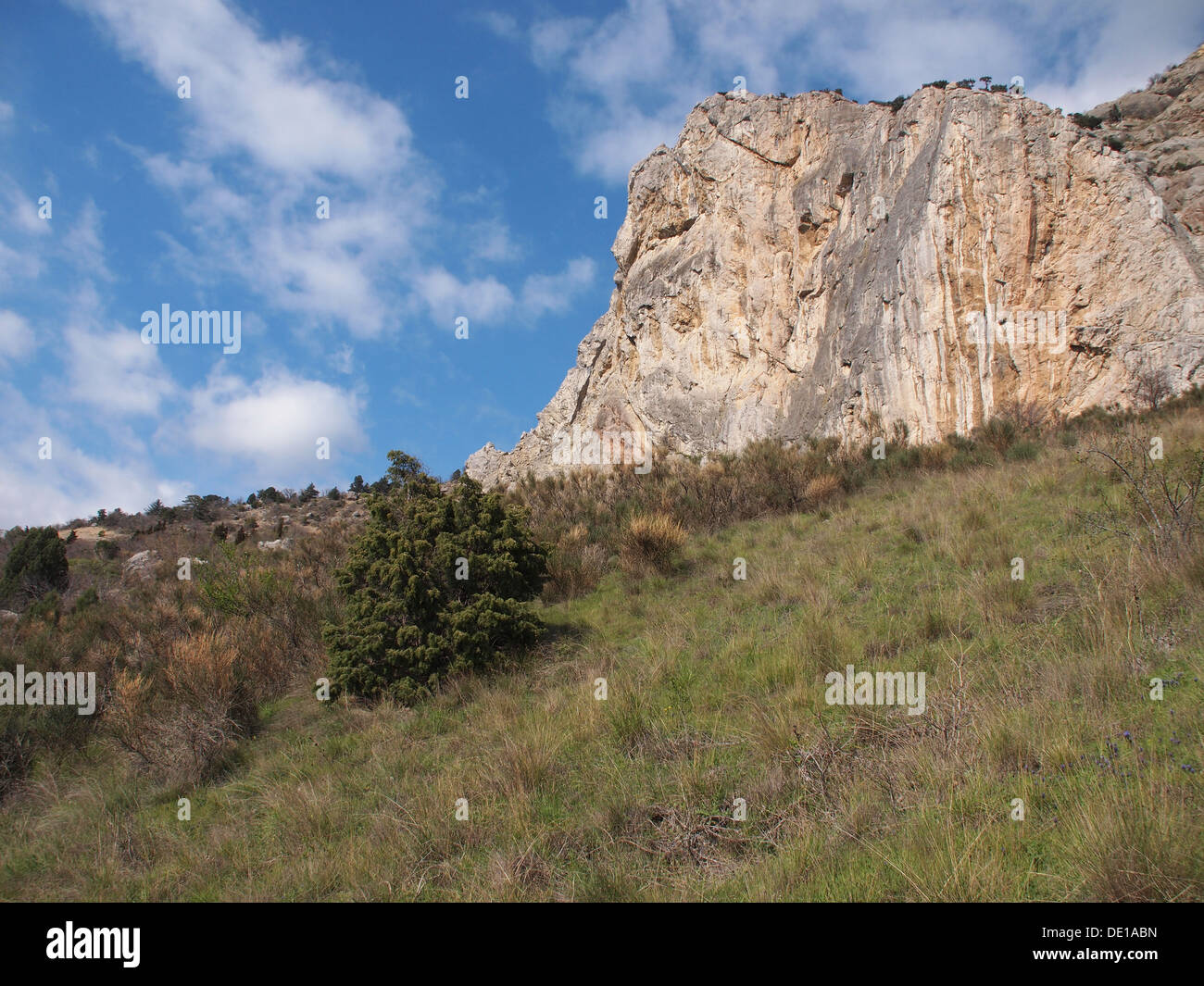 tree, sky and rock Stock Photo - Alamy