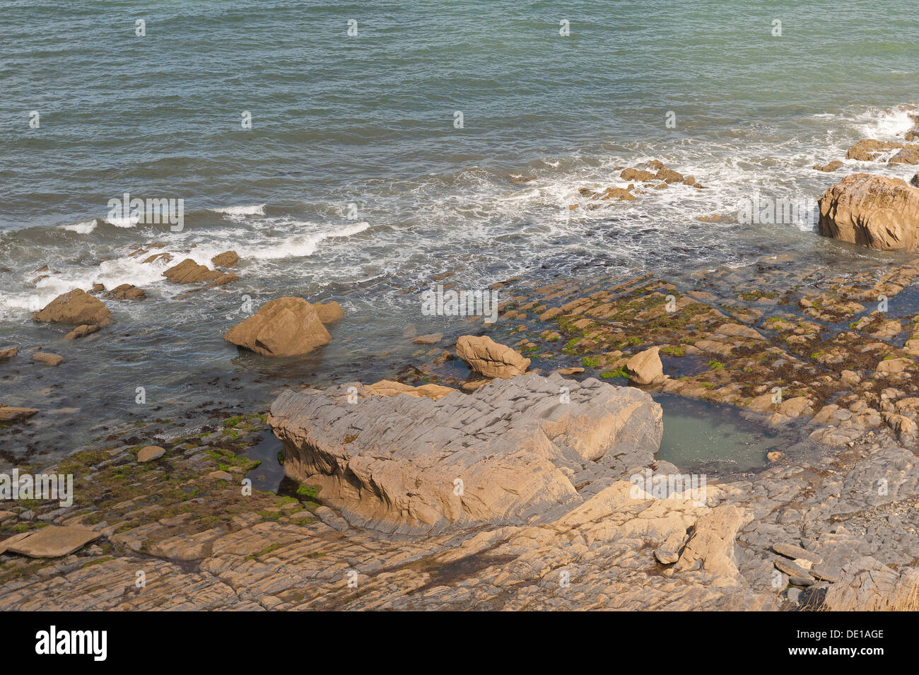 sandstone outcrop coastal zone at Borth headland Cardigan Bay exposed ...