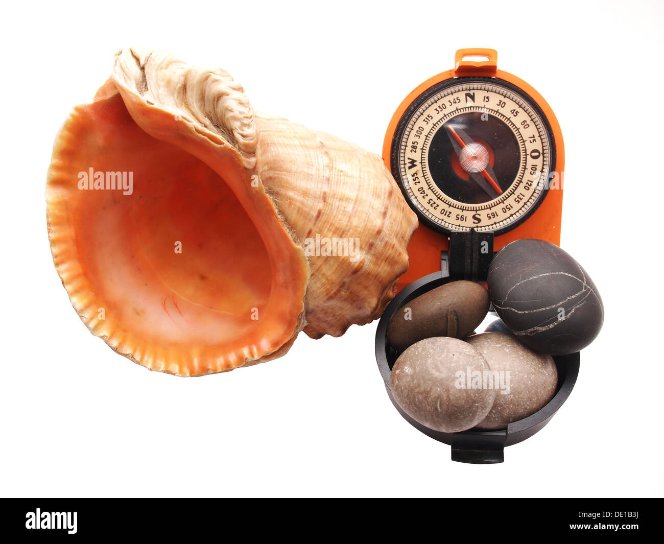 Old compass, pebbles and shells on a white background Stock Photo - Alamy