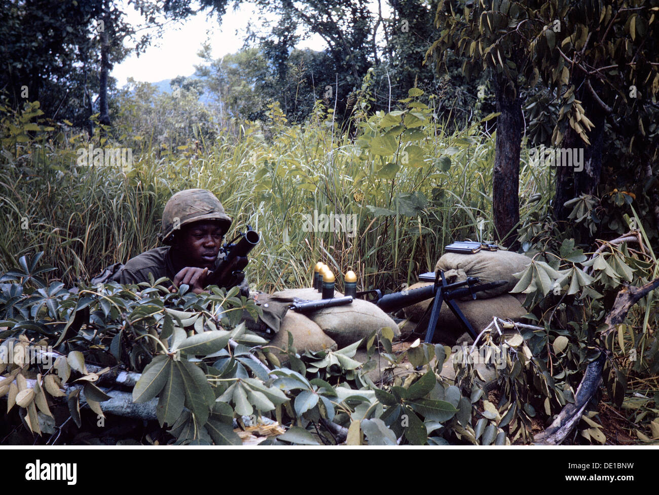 Vietnam war jungle High Resolution Stock Photography and Images - Alamy
