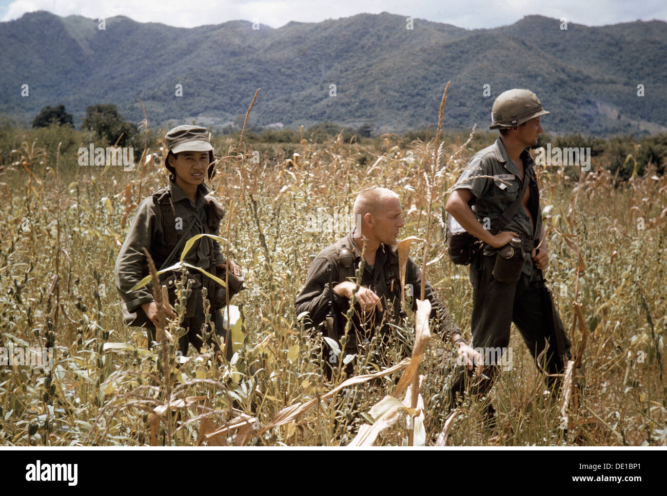 Ally allies hi-res stock photography and images - Alamy