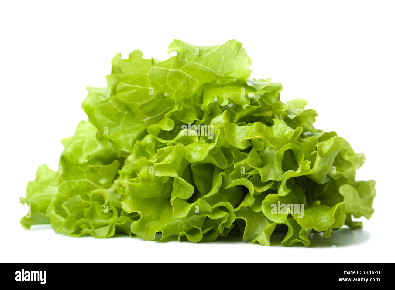 Fresh lettuce hi-res stock photography and images - Alamy