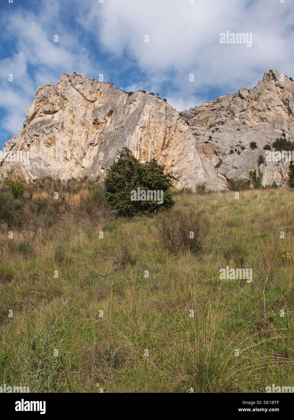 tree, sky and rock Stock Photo - Alamy