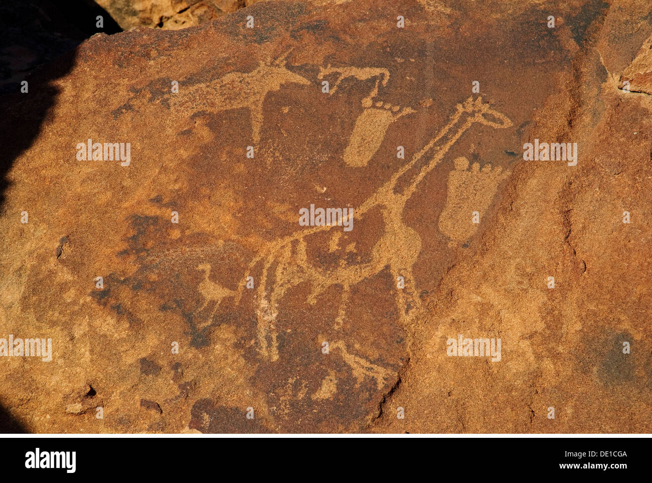 prehistory, Stone Age, rock engravings of the San, Twyfelfontein ...