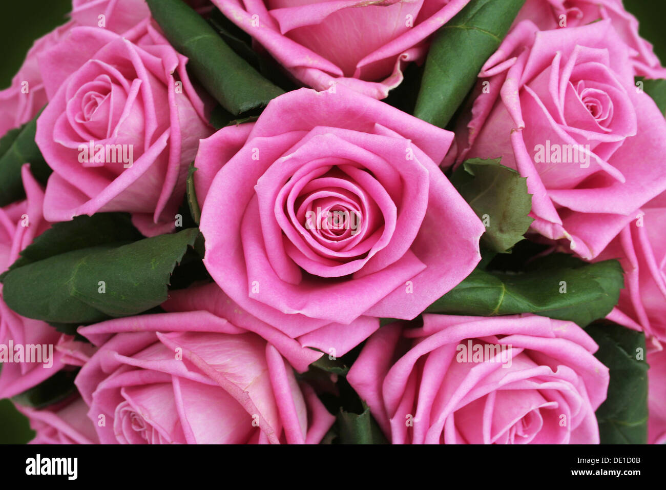 Roses nosegay hi-res stock photography and images - Alamy