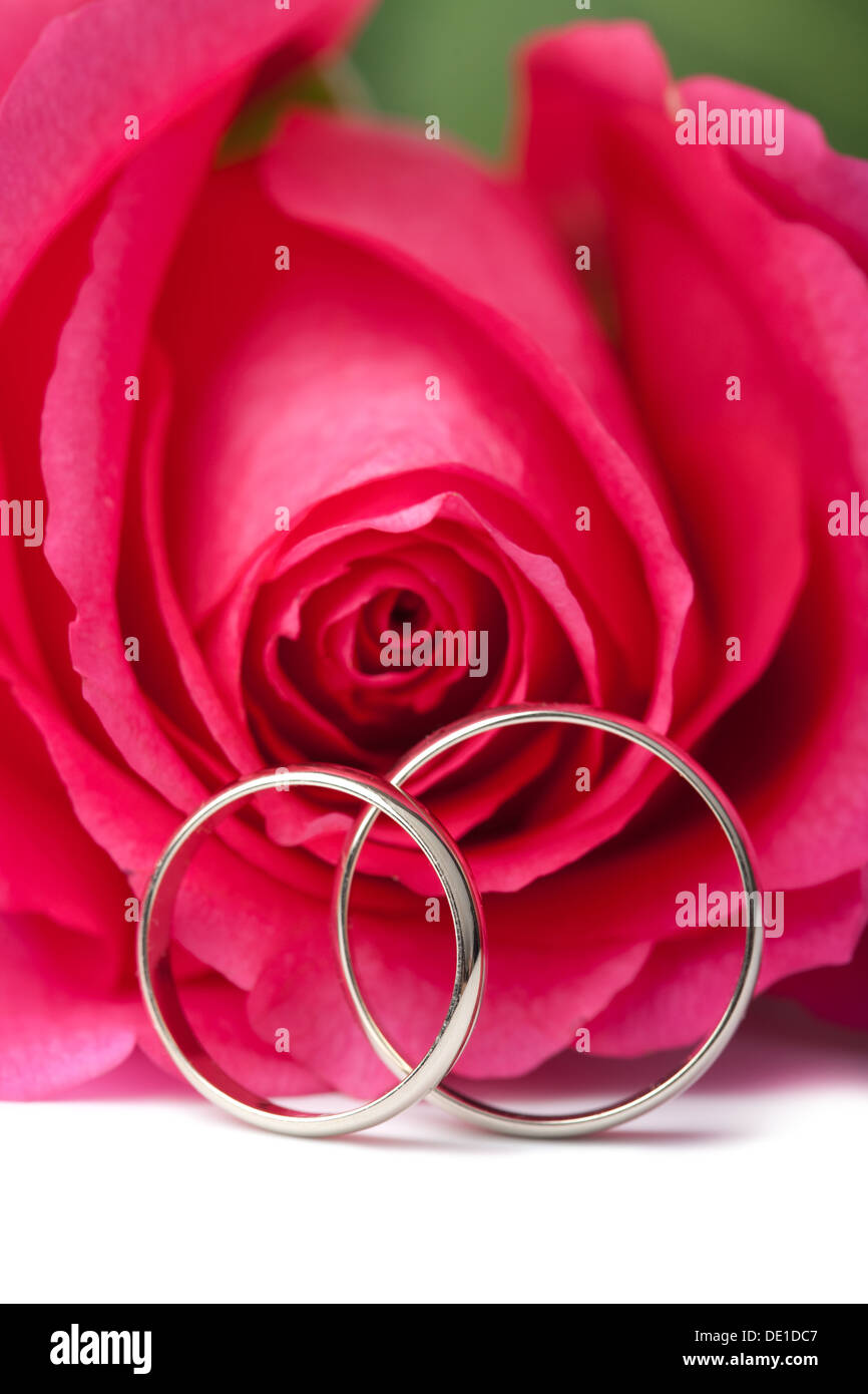 Gold wedding rings and pink rose isolated Stock Photo - Alamy