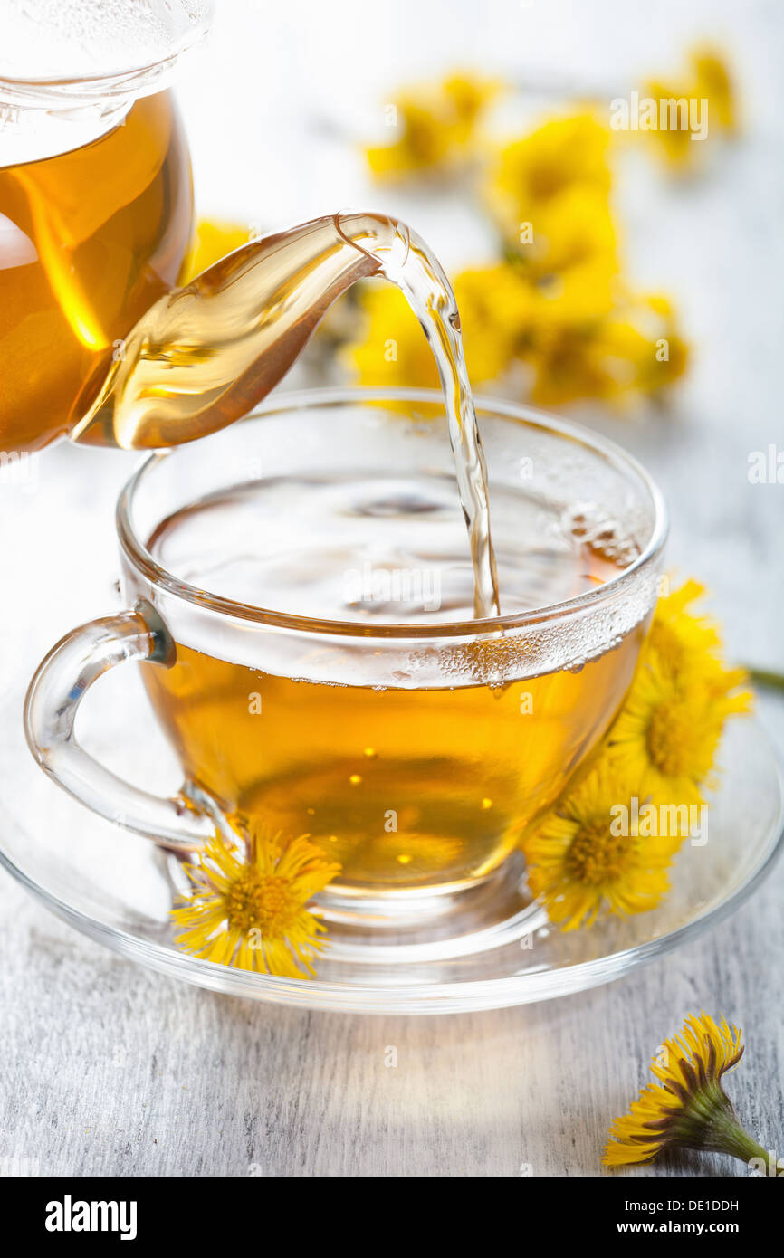 herbal tea with coltsfoot flowers Stock Photo - Alamy