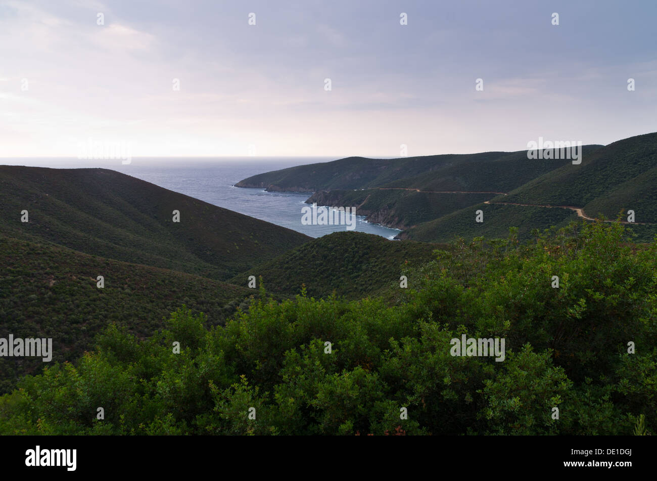 Sithonia greece forest hi-res stock photography and images - Alamy