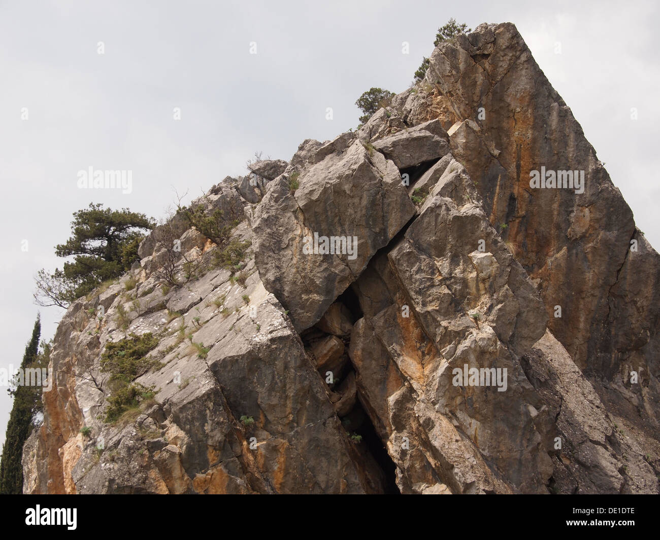 tree, sky and rock Stock Photo - Alamy
