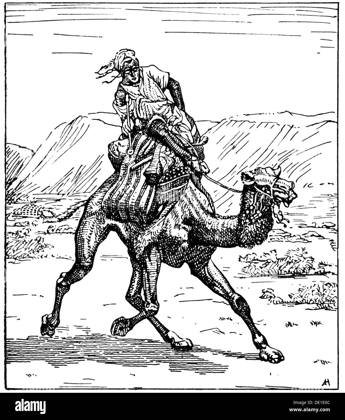 Painting of camel hi-res stock photography and images - Alamy