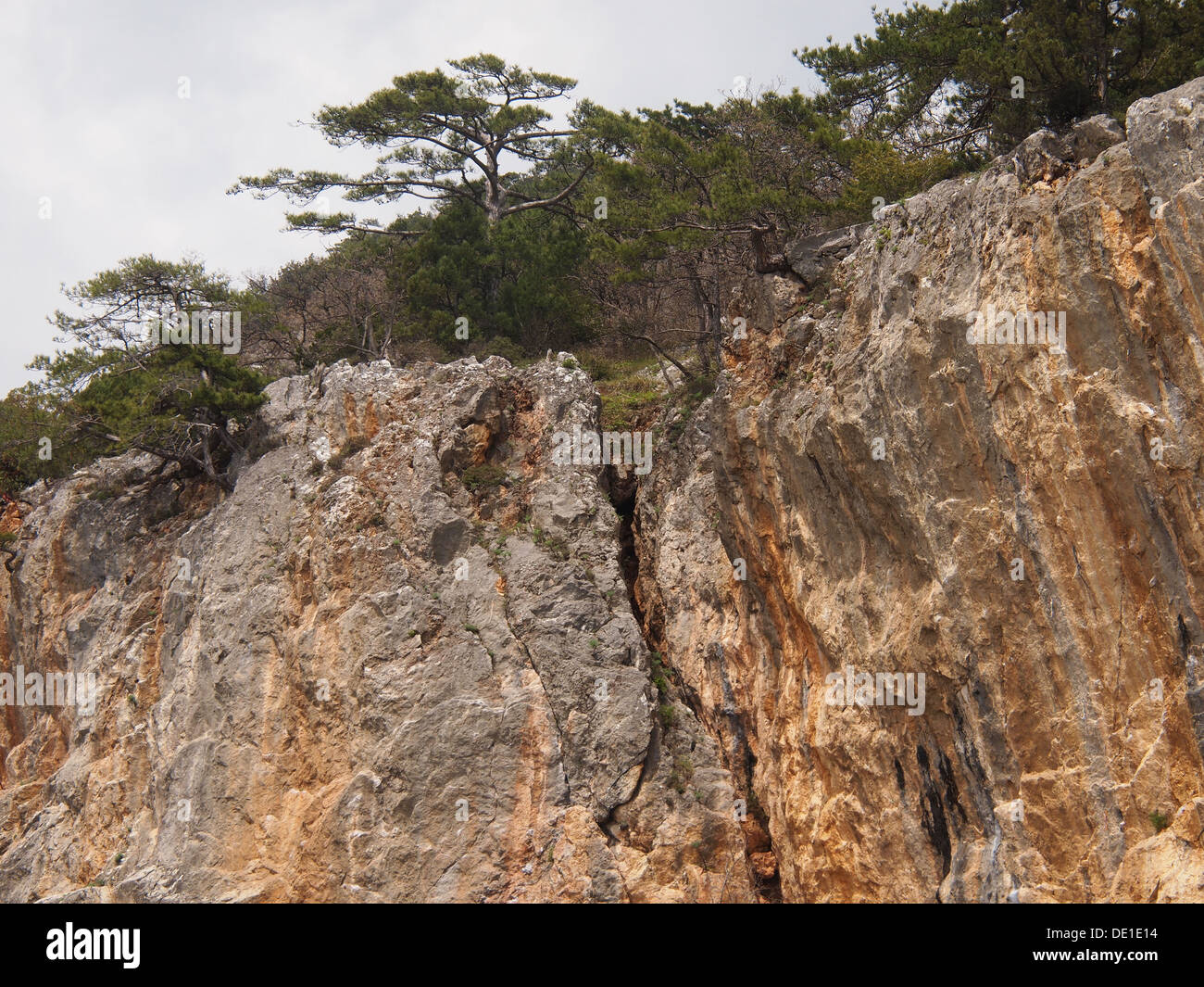 tree, sky and rock Stock Photo - Alamy