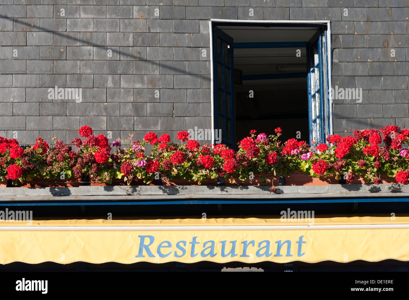 Pretty window boxes and flowers on windows on old buildings Honfleur ...