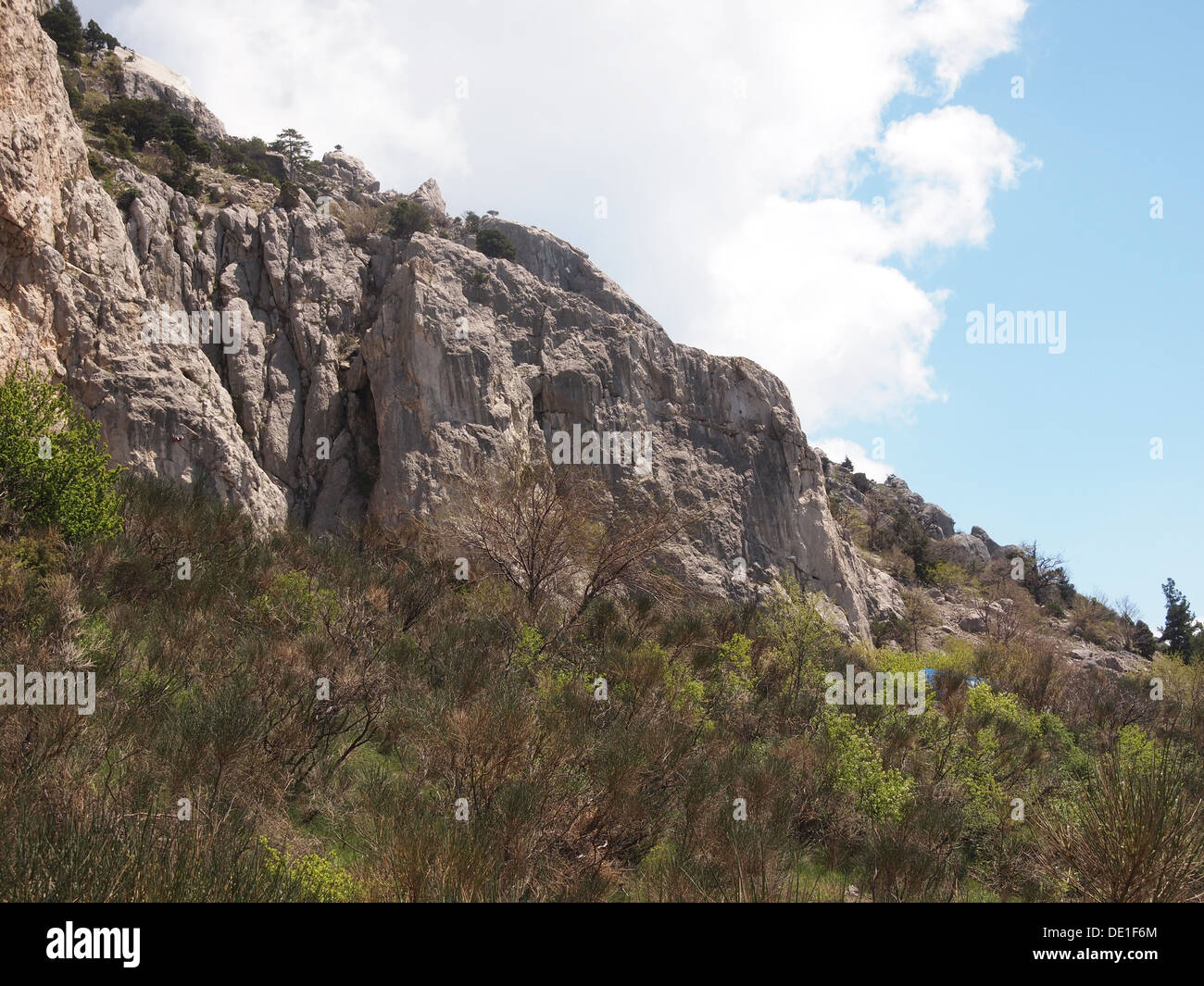 tree, sky and rock Stock Photo - Alamy