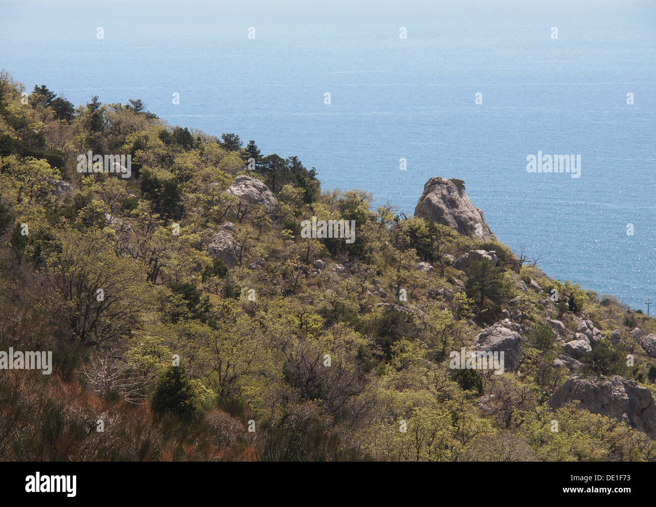 Rock, trees, sea and sky Stock Photo - Alamy