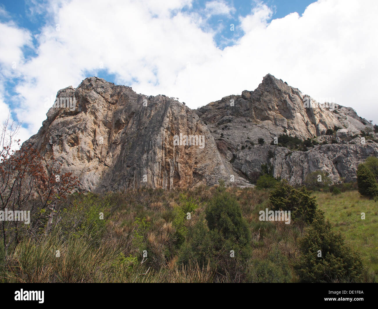 tree, sky and rock Stock Photo - Alamy