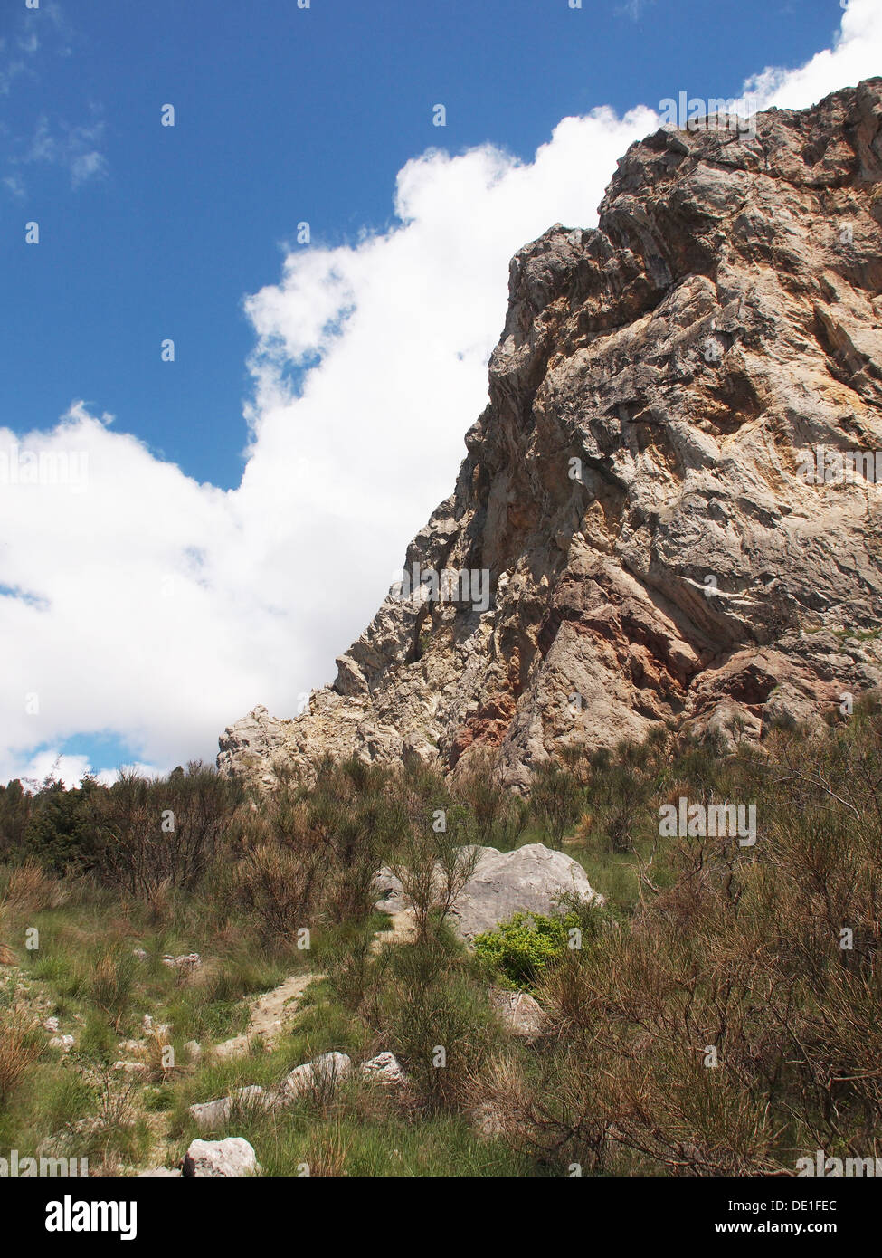 tree, sky and rock Stock Photo - Alamy