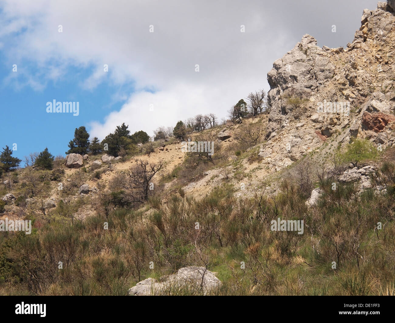Rock, trees and sky Stock Photo - Alamy