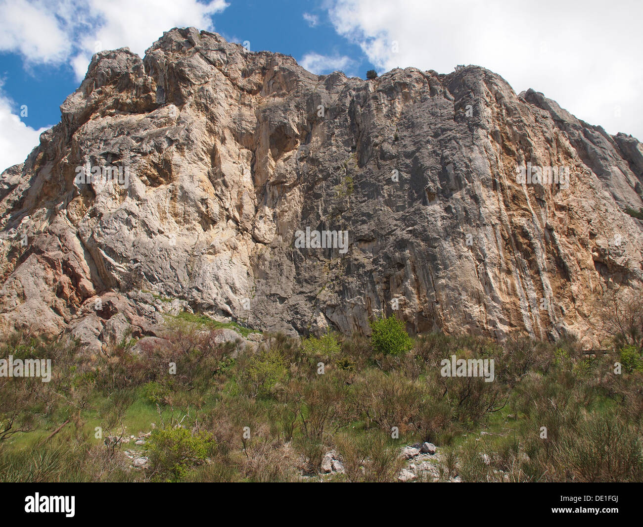 tree, sky and rock Stock Photo - Alamy