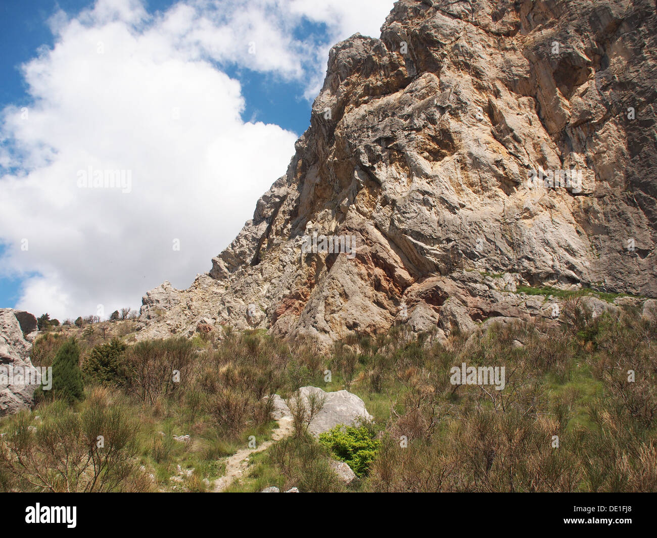 tree, sky and rock Stock Photo - Alamy