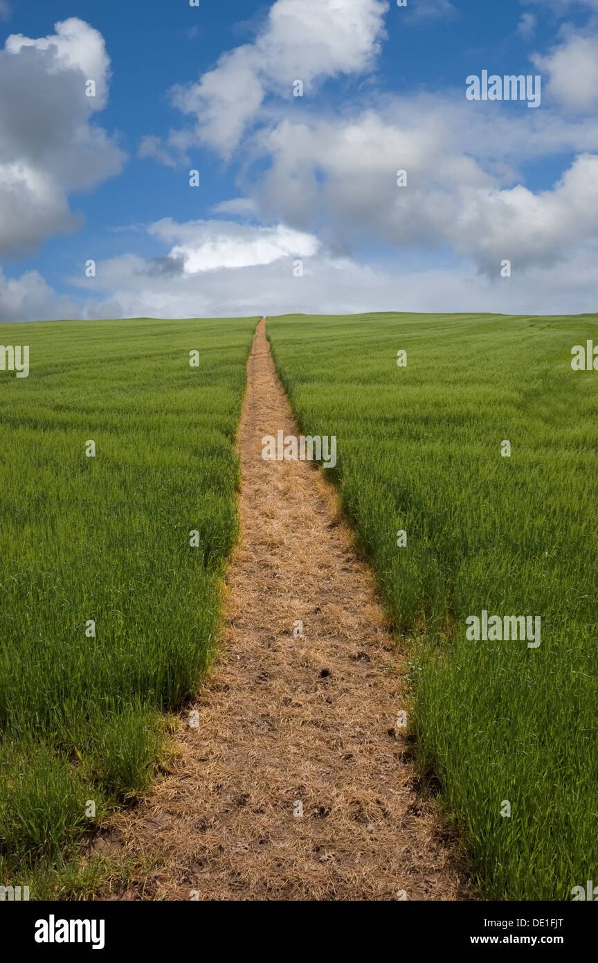 Horizon field hi-res stock photography and images - Alamy