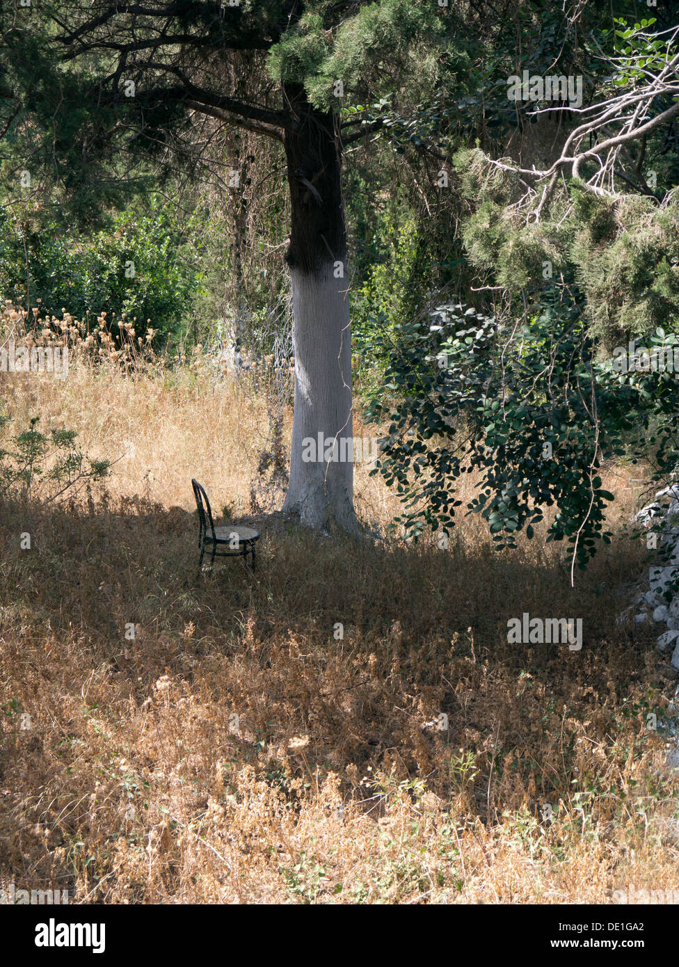 Chair under tree hi-res stock photography and images - Alamy