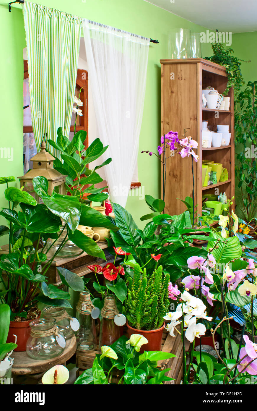 Florist shop interior hi-res stock photography and images - Alamy