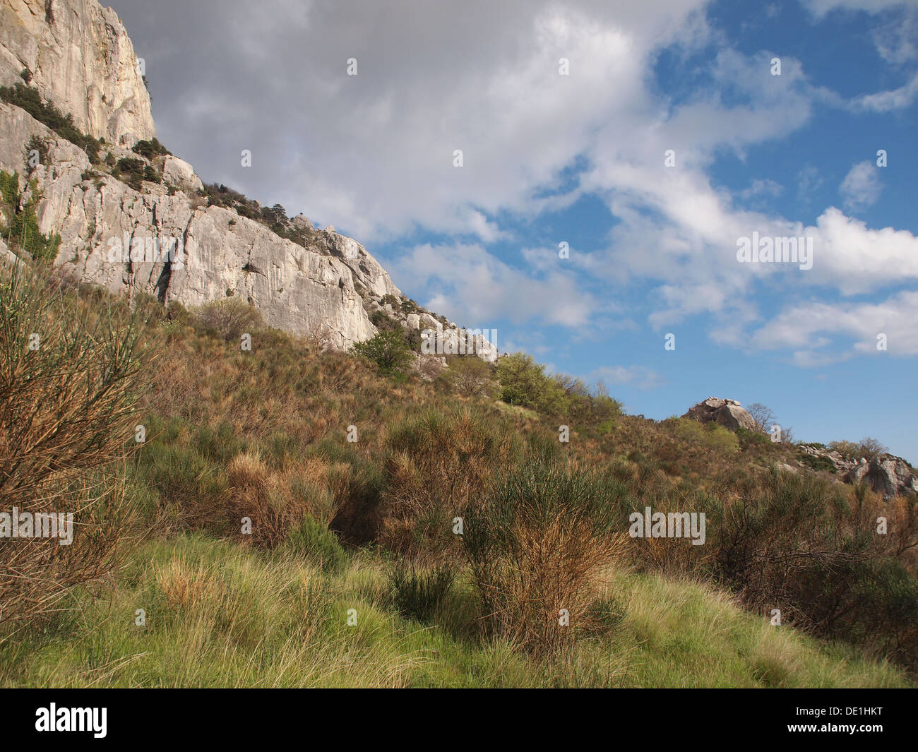 rock, sky and tree Stock Photo - Alamy