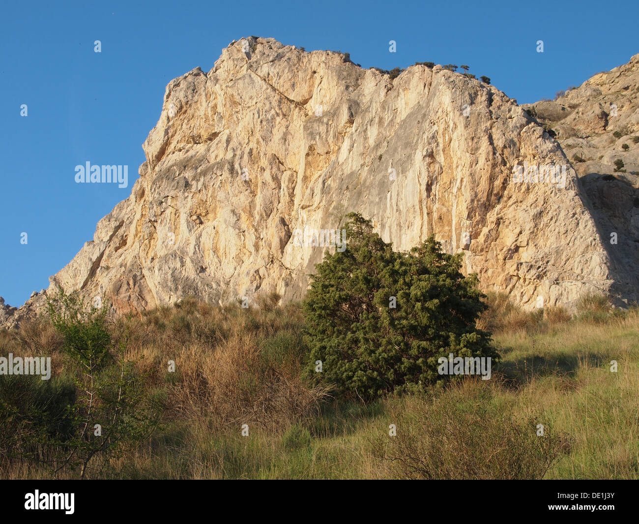 trees, sky and rock Stock Photo - Alamy