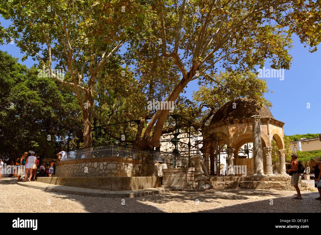 Hippocrates Plane Tree and mosque font at Kos City, Island of Kos ...