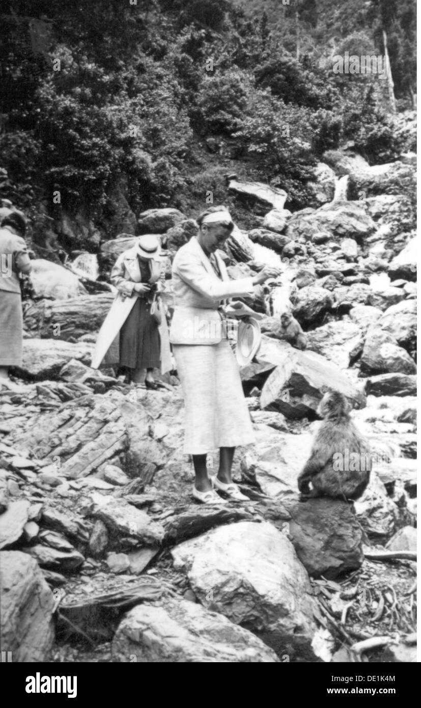 Algiers 1930s High Resolution Stock Photography and Images - Alamy